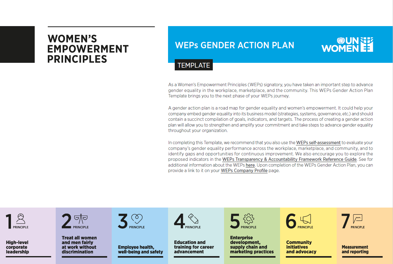 Weps Gender Action Plan Template Weps 2264